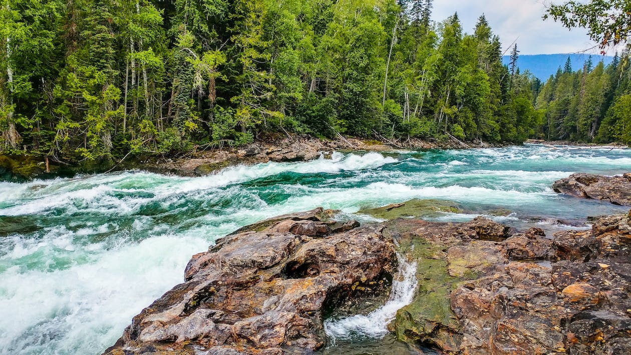 Foto: Pexels.com